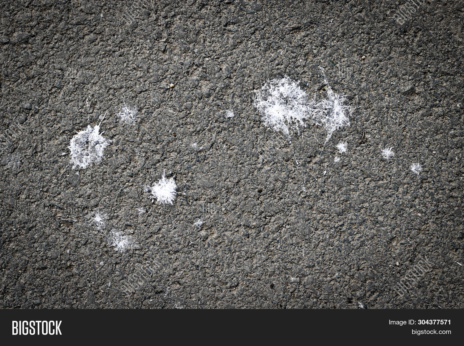 Imagen y foto Bird Droppings On (prueba gratis) | Bigstock