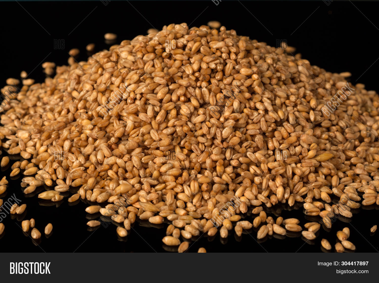 Wheat Close-. Wheat Image & Photo (Free Trial) | Bigstock