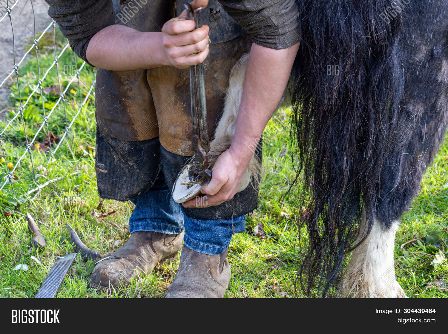 Farrier Working On Image & Photo (Free Trial) | Bigstock