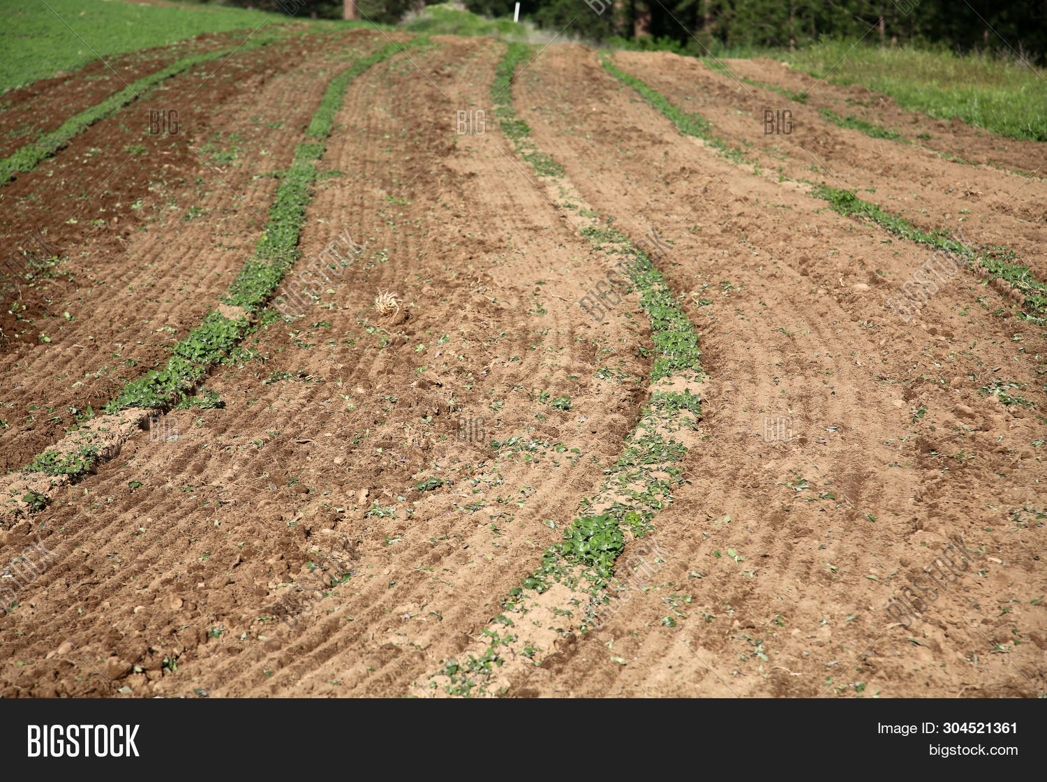 Farmland Being Plowed Image & Photo (Free Trial) | Bigstock
