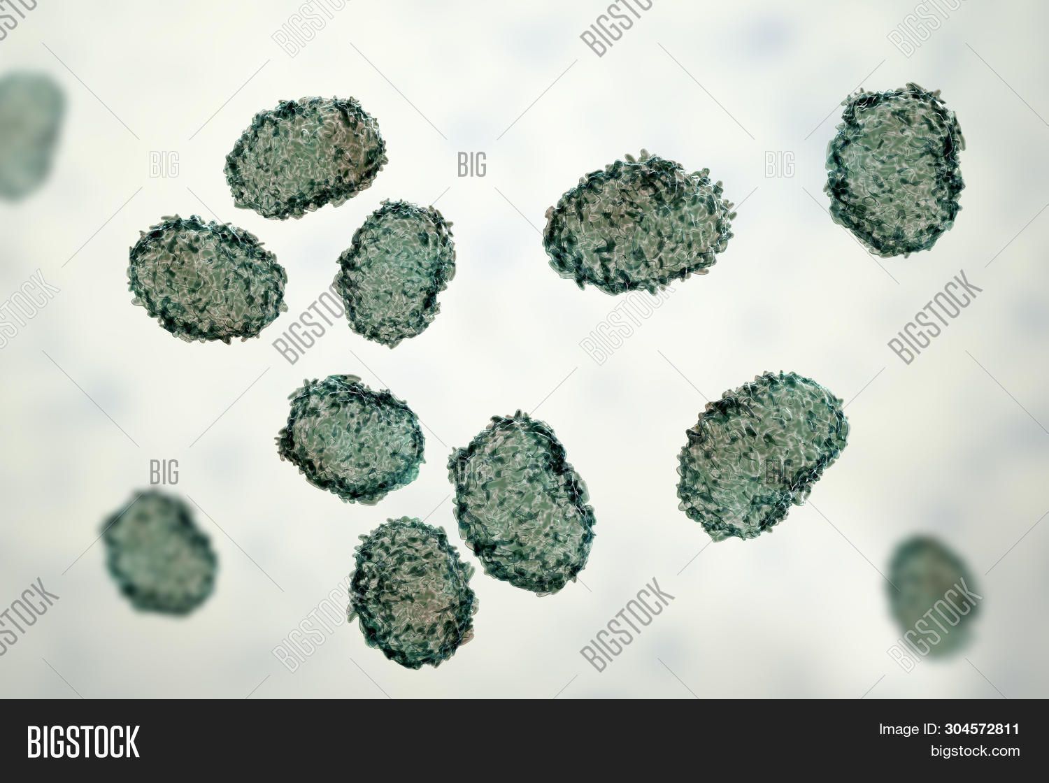 Spores Stachybotrys Image & Photo (Free Trial) | Bigstock