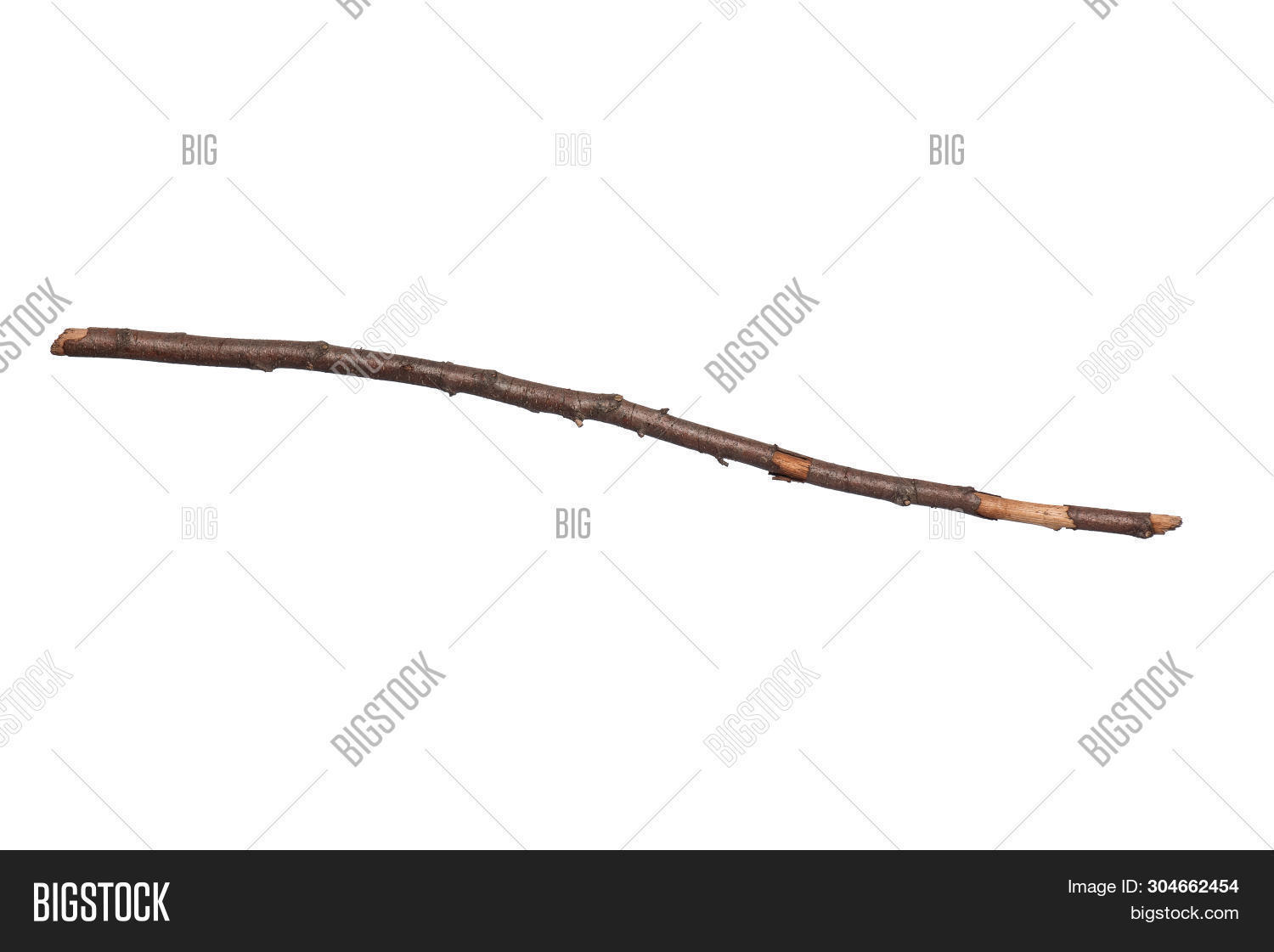 Single Dry Tree Branch Image & Photo (Free Trial) | Bigstock