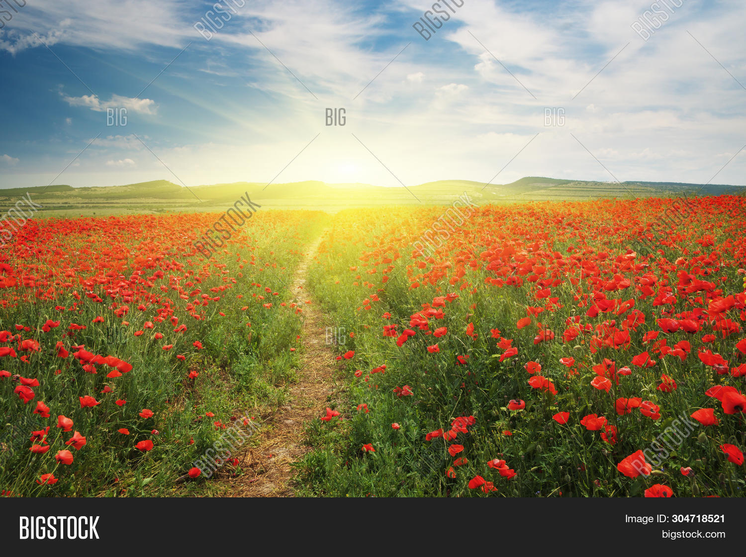 Footpath Sun Meadow Image & Photo (Free Trial) | Bigstock