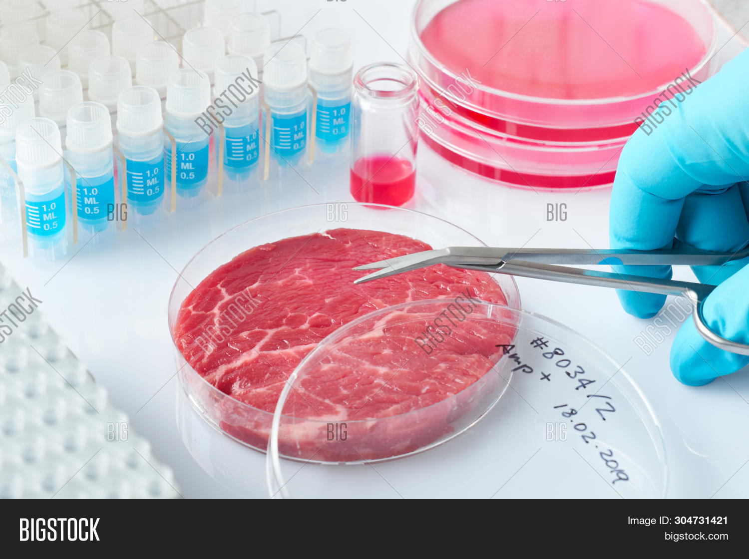 Meat Sample Open Image & Photo (Free Trial) | Bigstock