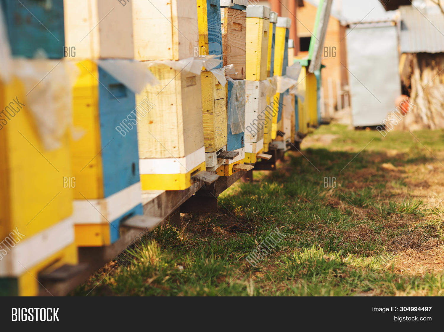 Bee Hive Detail Close Image & Photo (Free Trial) | Bigstock
