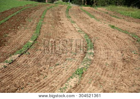 Farmland Being Plowed Image & Photo (Free Trial) | Bigstock