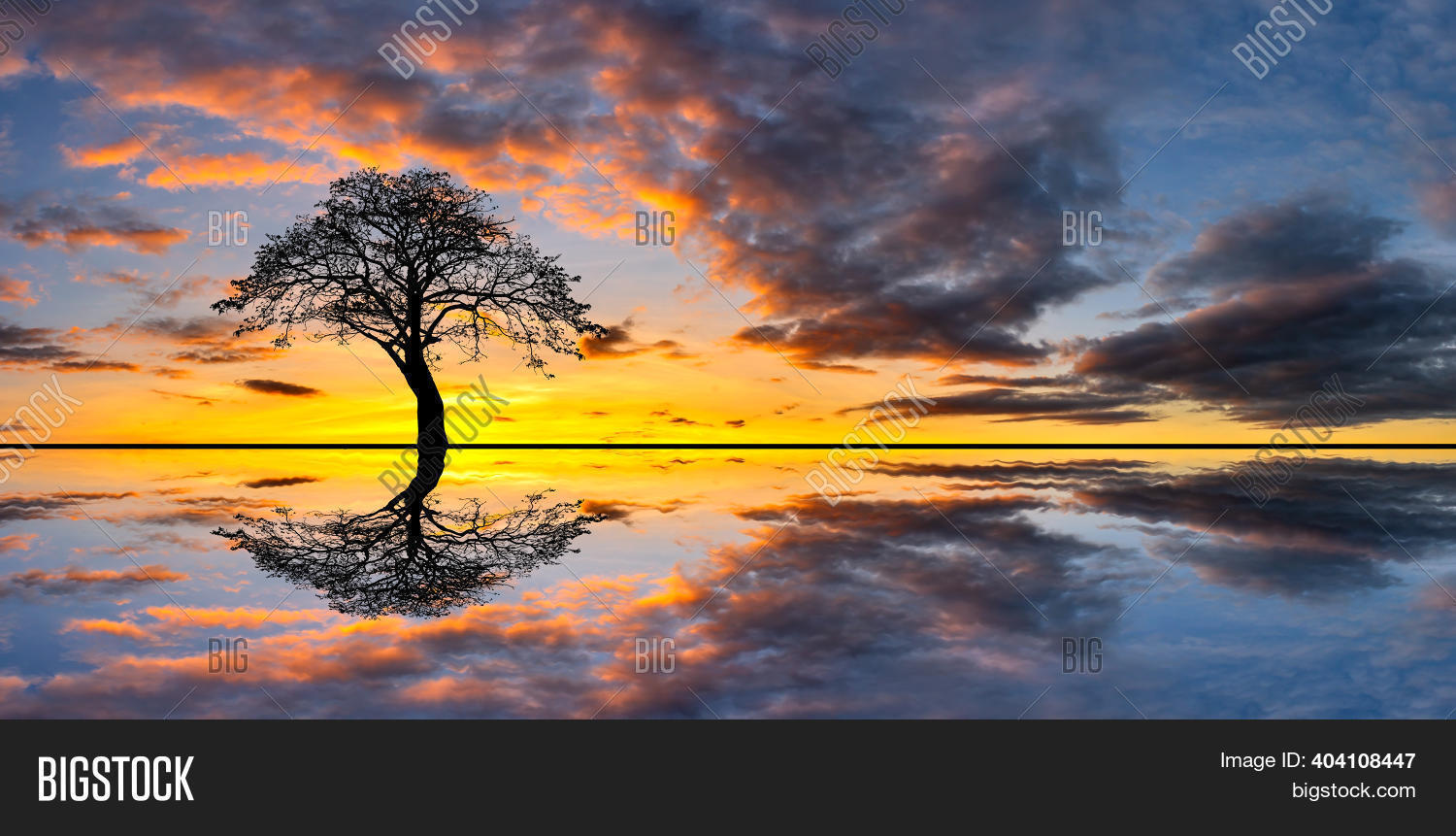african sunset tree