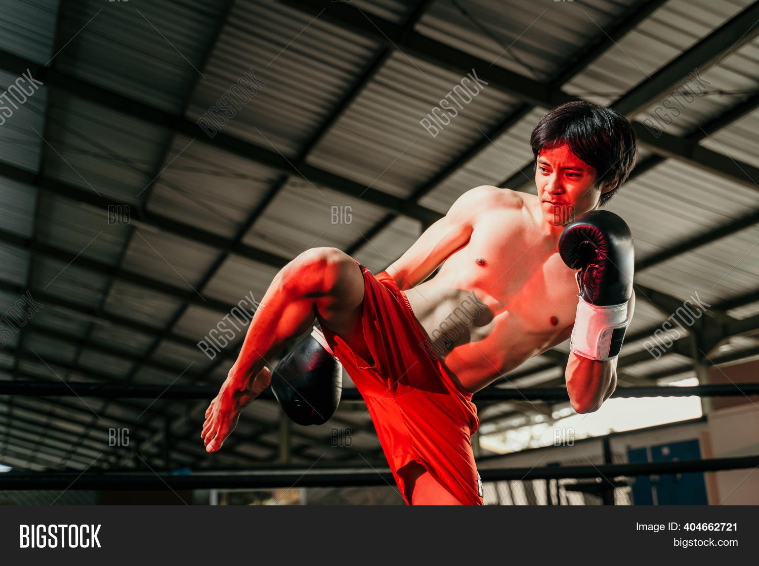 Muscular Boxer Fighter Image & Photo (Free Trial) | Bigstock