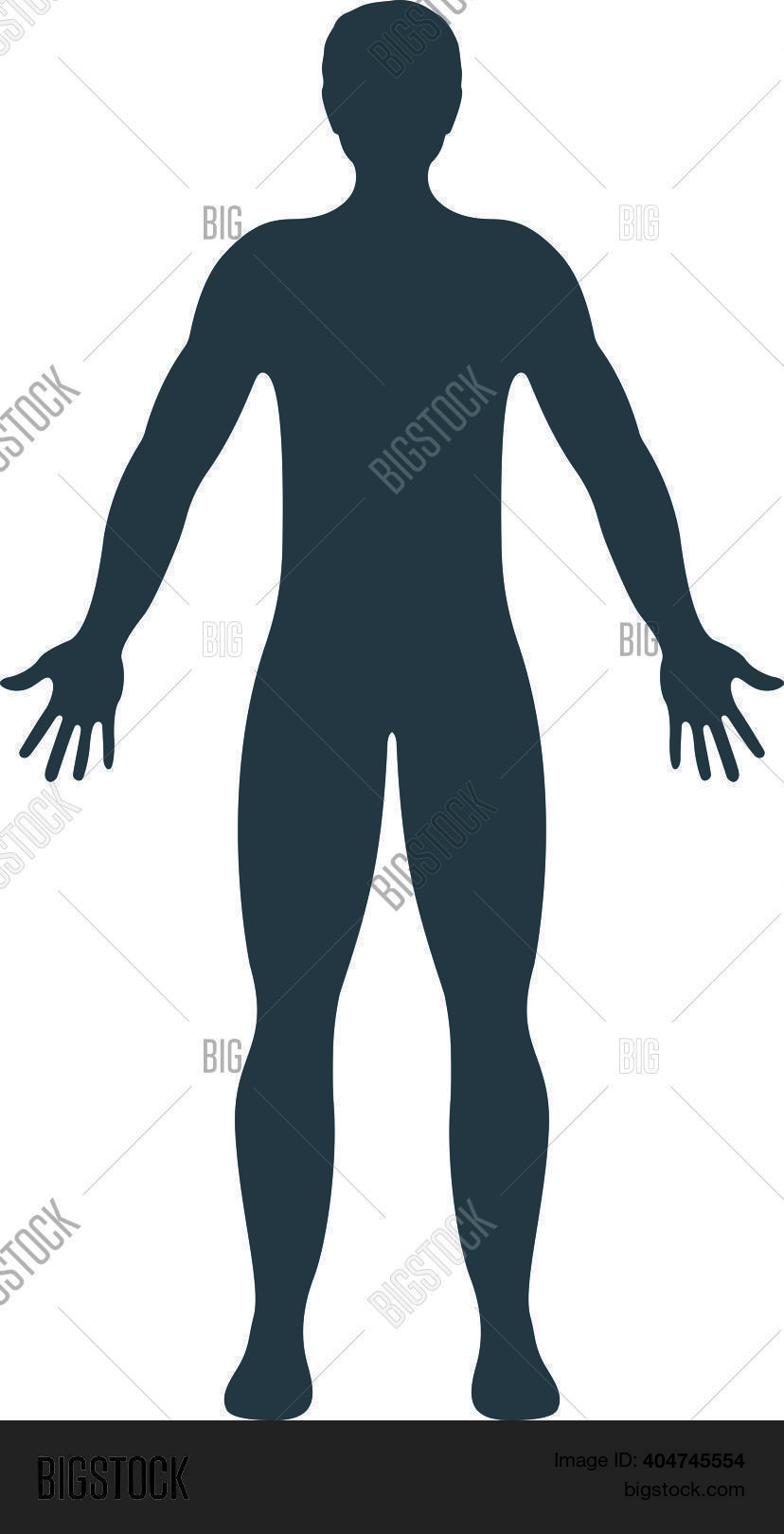 Male Human Character Vector & Photo (Free Trial) | Bigstock