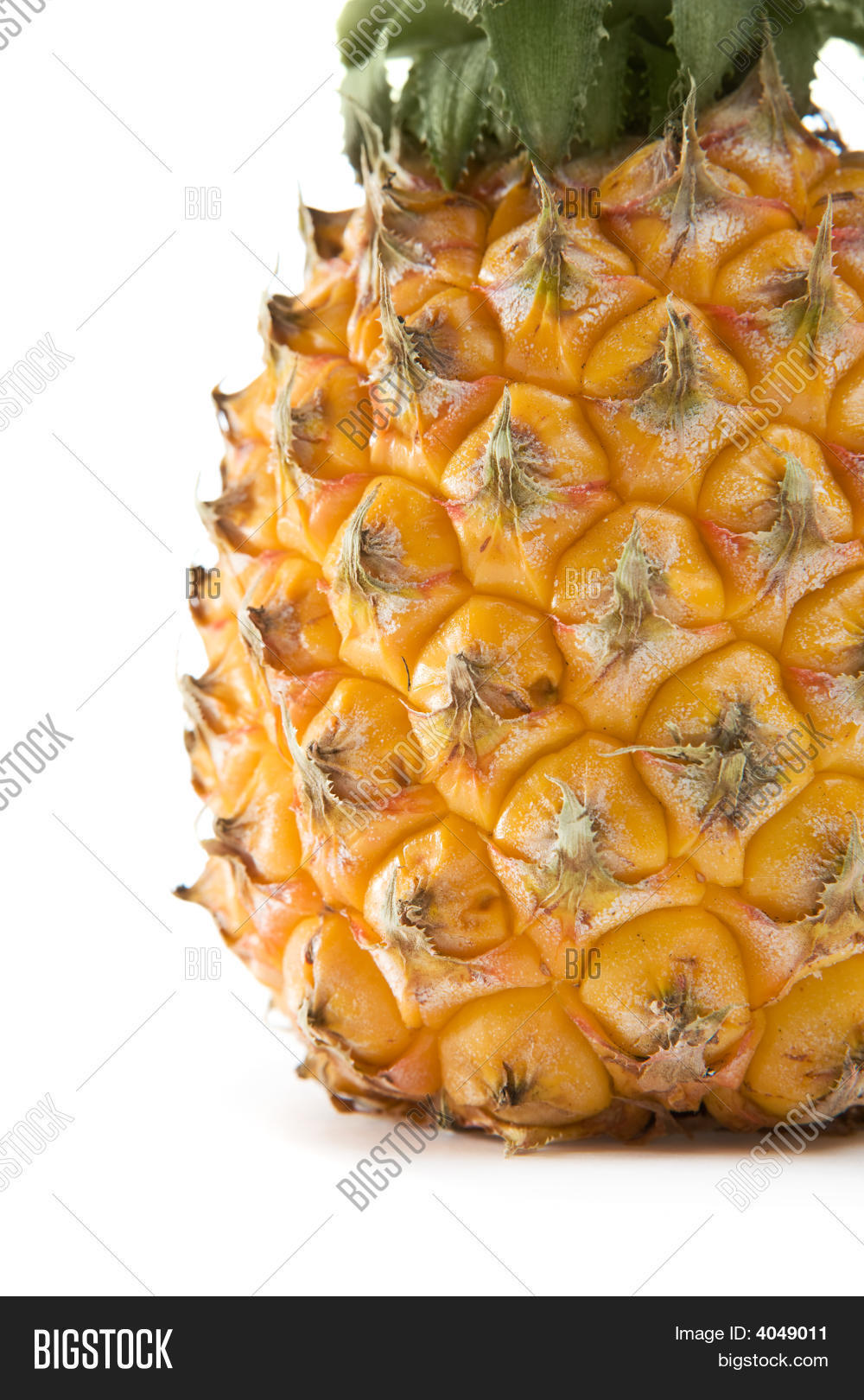 Ripe Pineapple Image & Photo (Free Trial) | Bigstock