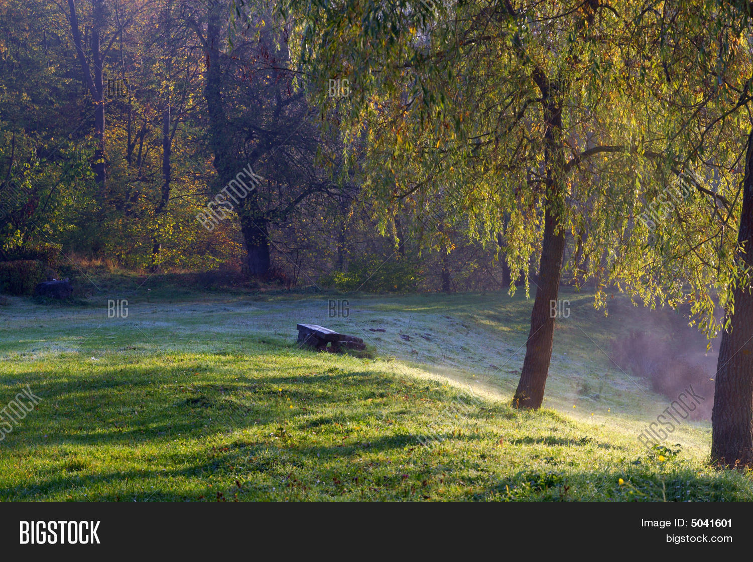 Square Morning Fog Image & Photo (Free Trial) | Bigstock