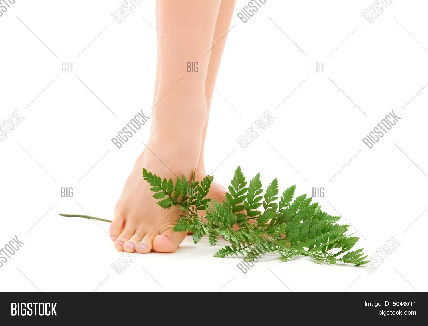 Female Feet Green Leaf Image & Photo (Free Trial) | Bigstock