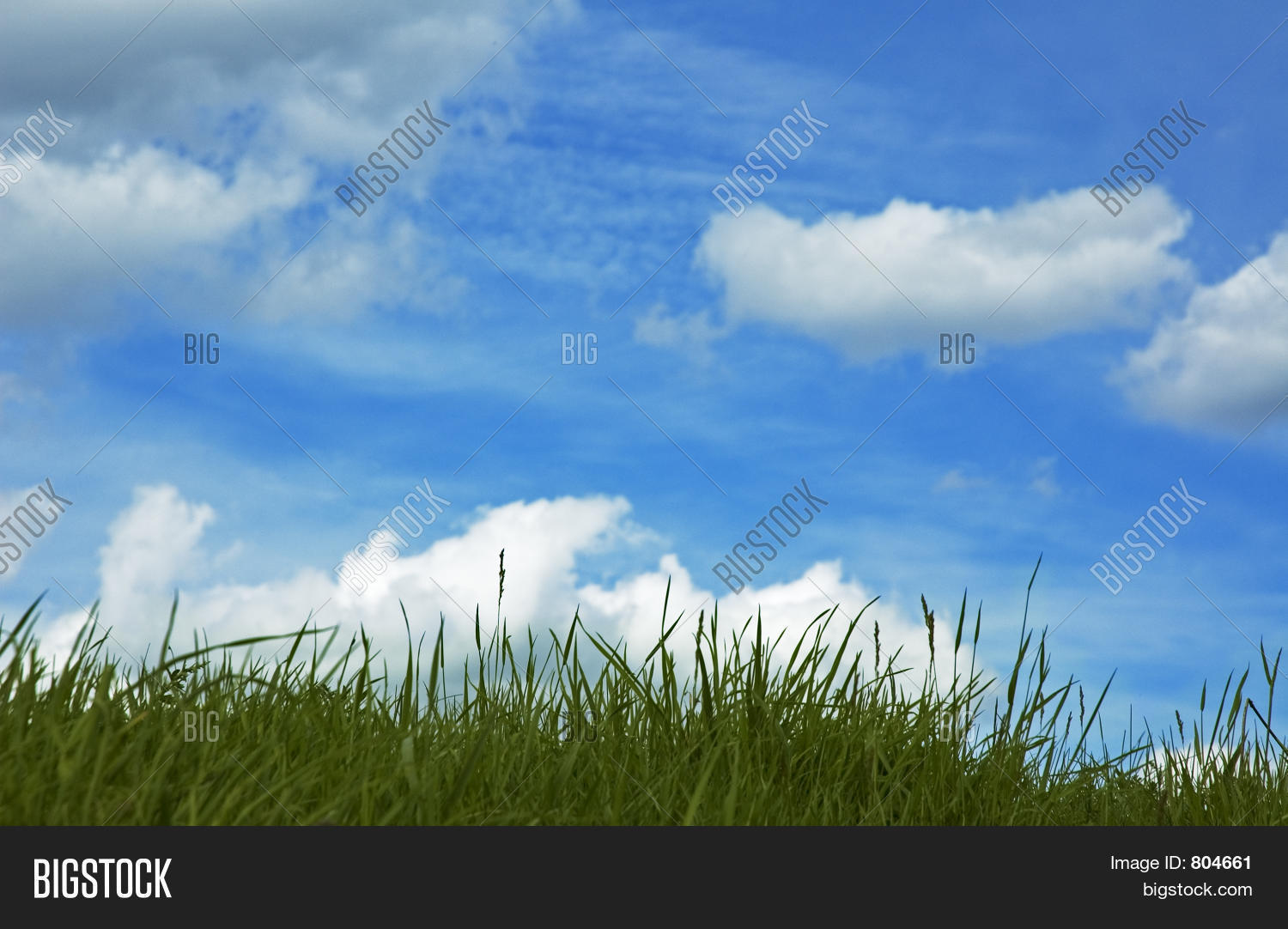 Background Grass Blue Image & Photo (Free Trial) | Bigstock