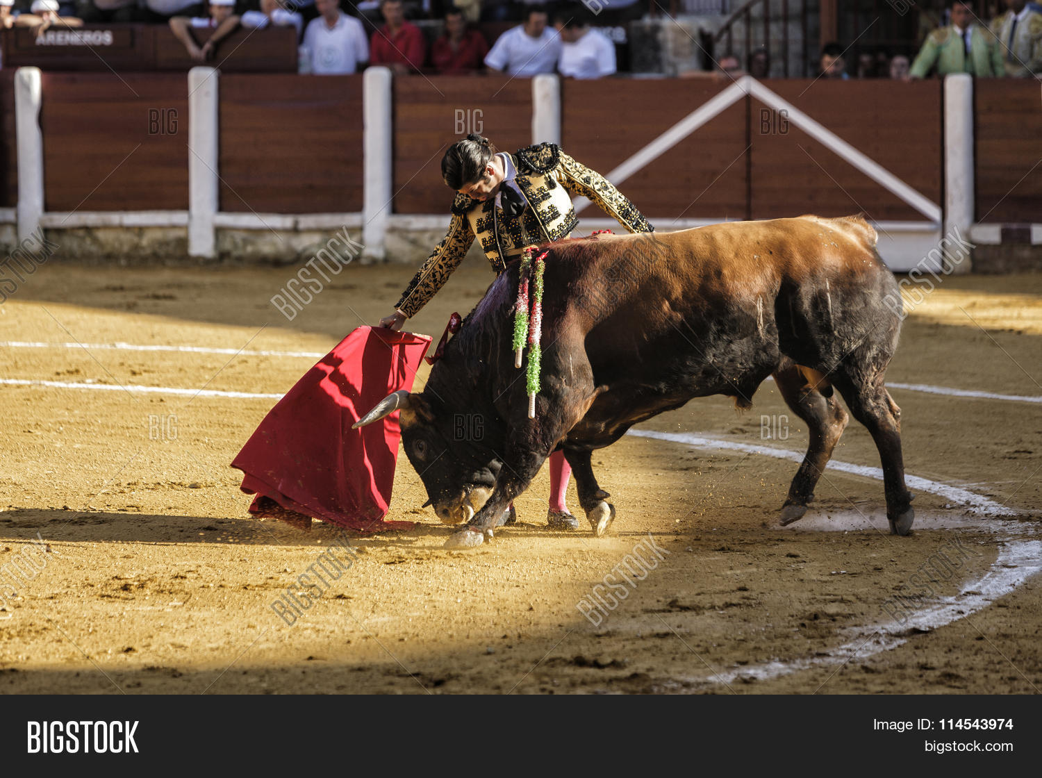 Spanish Bullfighter Image & Photo (Free Trial) | Bigstock