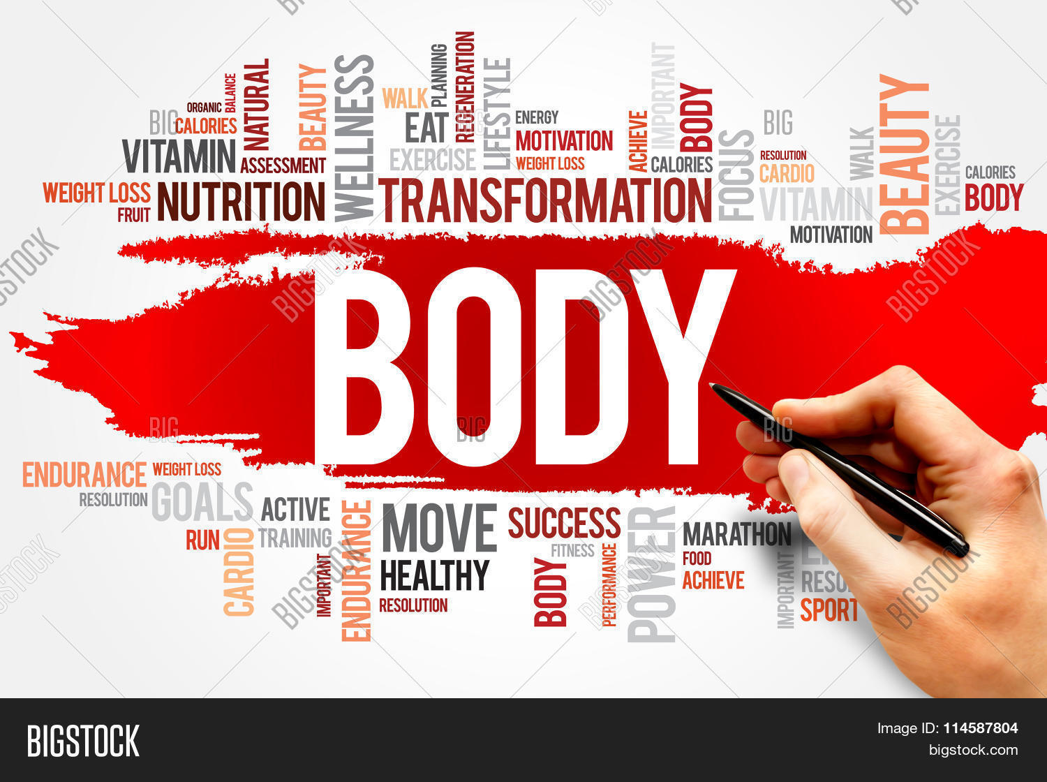 Body Word Cloud Image & Photo (Free Trial) | Bigstock