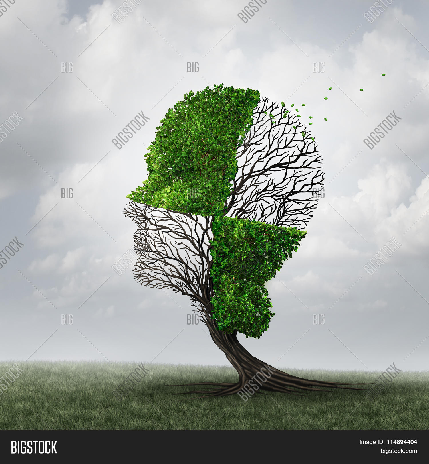 Compartmentalization Image & Photo (Free Trial) | Bigstock