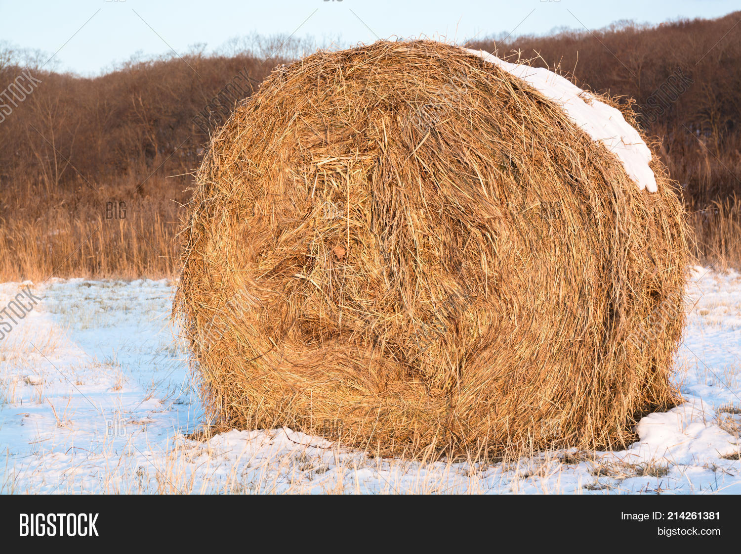Haystack On Field Image & Photo (Free Trial) | Bigstock