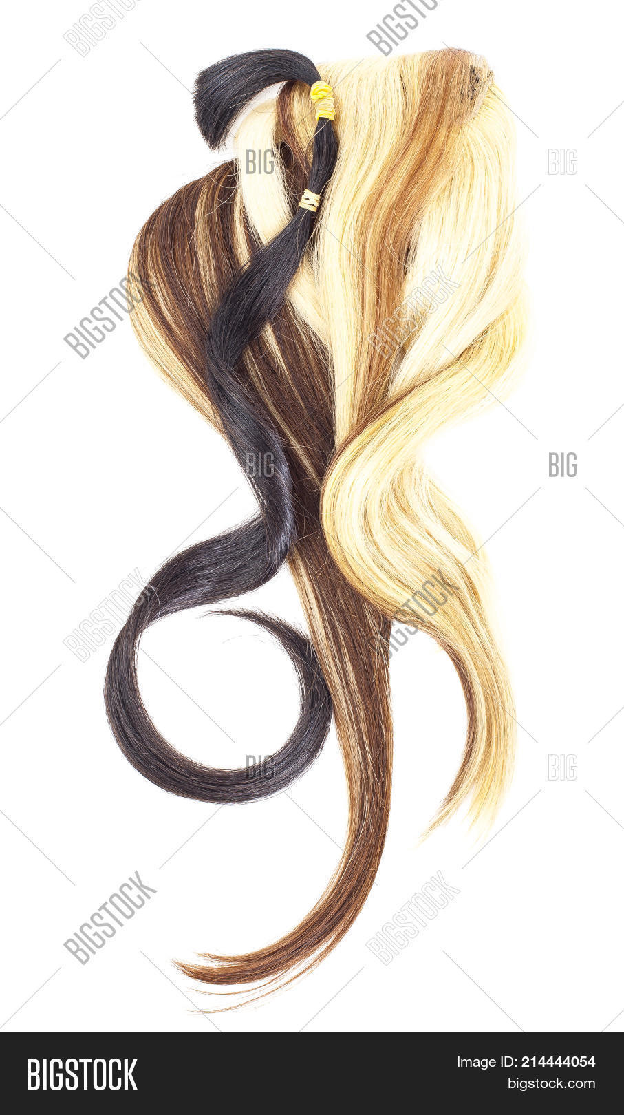 Real Woman Hair Image & Photo (Free Trial) | Bigstock