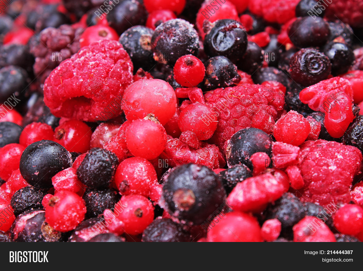 Frozen Mixed Berries Image & Photo (Free Trial) | Bigstock