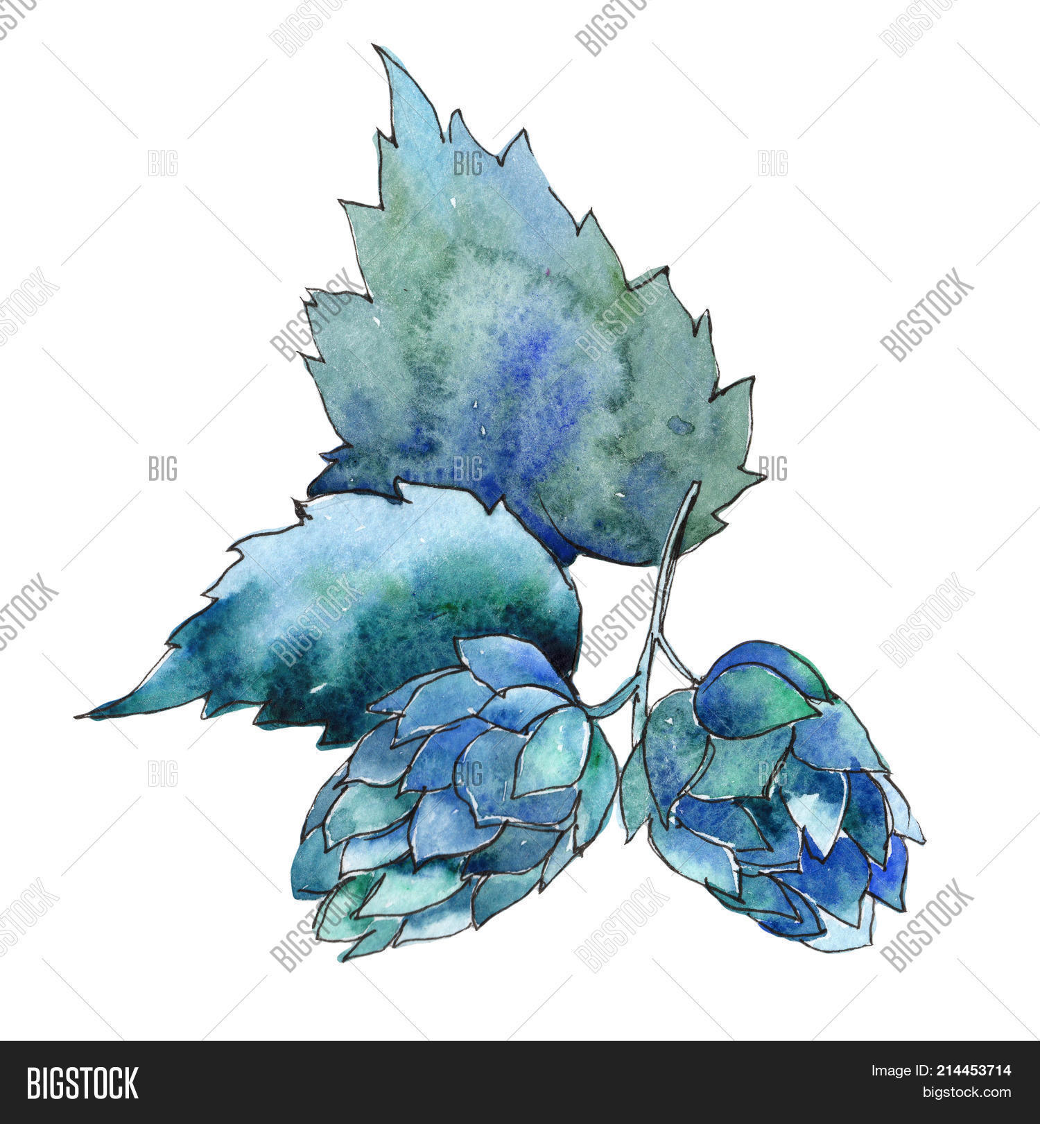 Wildflower Hops Flower Image & Photo (Free Trial) | Bigstock
