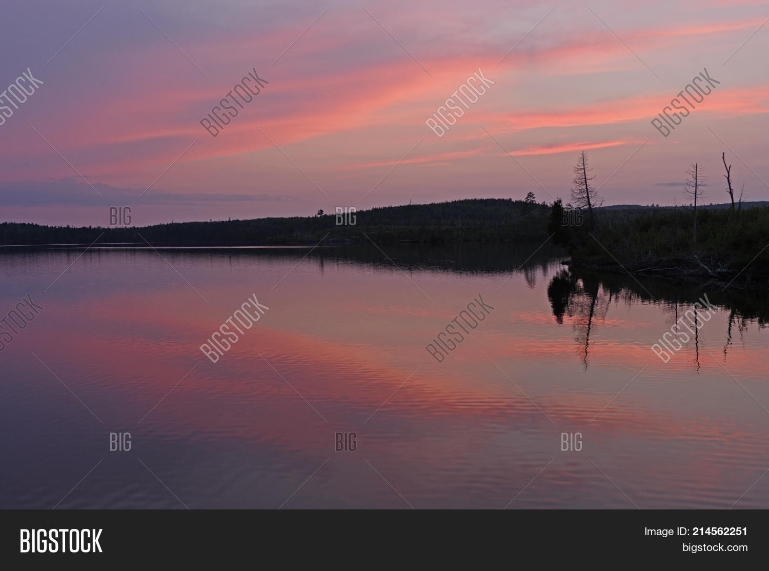 Pink Reflections Image & Photo (Free Trial) | Bigstock