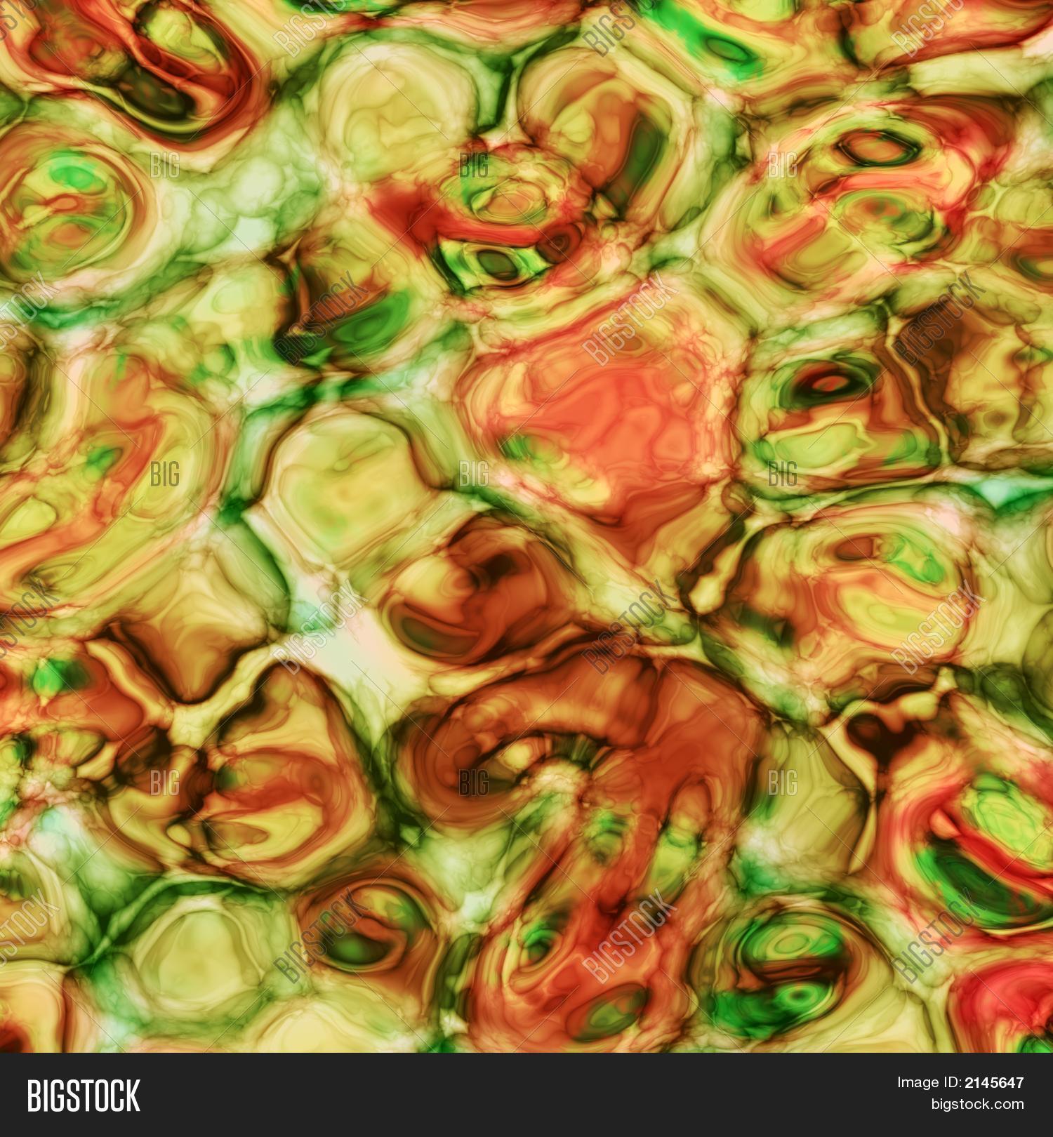 Magnified Plant Cells Image & Photo (Free Trial) | Bigstock