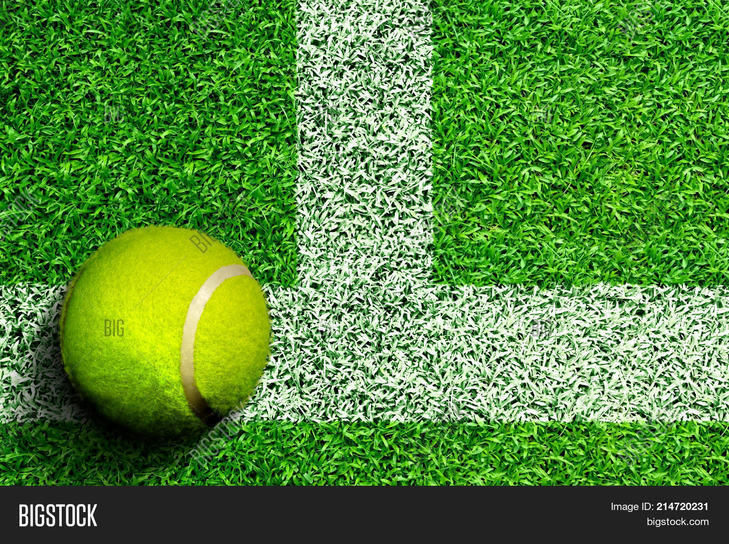 Tennis Ball On Grass Image & Photo (Free Trial) | Bigstock
