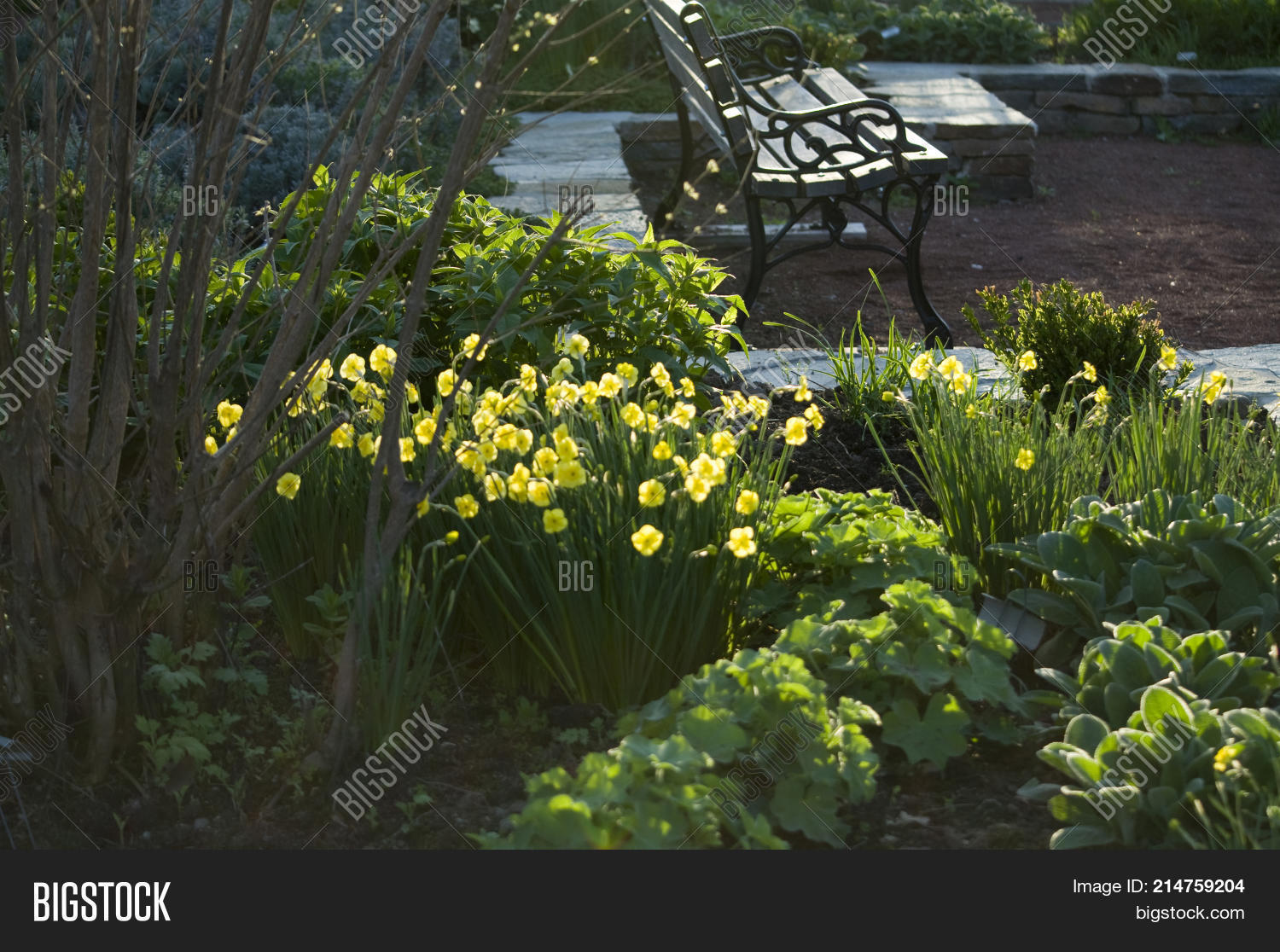 Elizabeth Park Eight: Image & Photo (Free Trial) | Bigstock