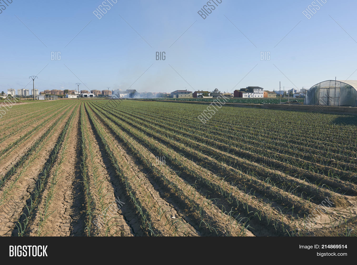Fields Garden Image & Photo (Free Trial) | Bigstock