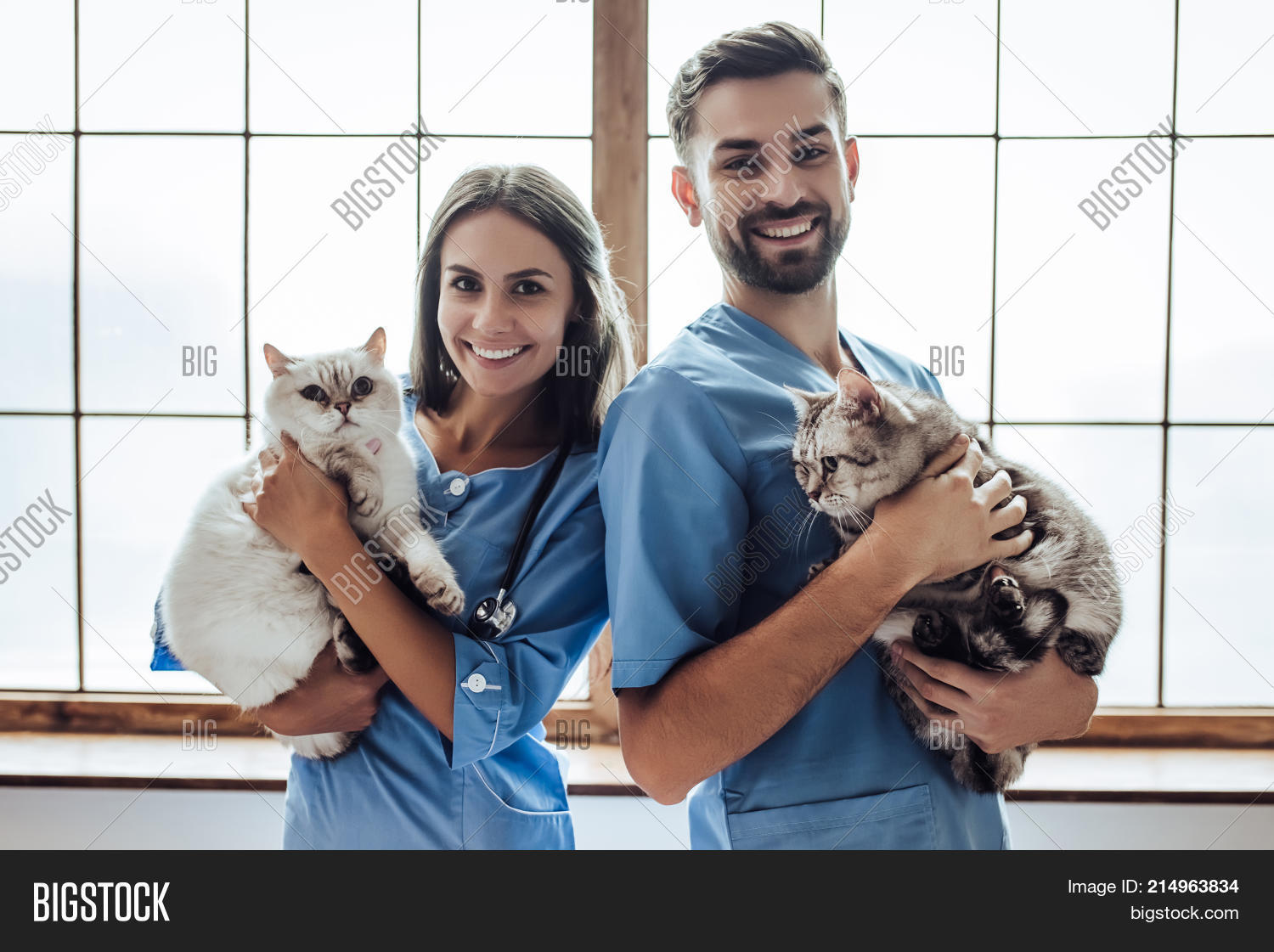 Doctor Veterinarian Image & Photo (Free Trial) | Bigstock