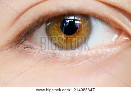 Human Eye Reflection. Image & Photo (Free Trial) | Bigstock