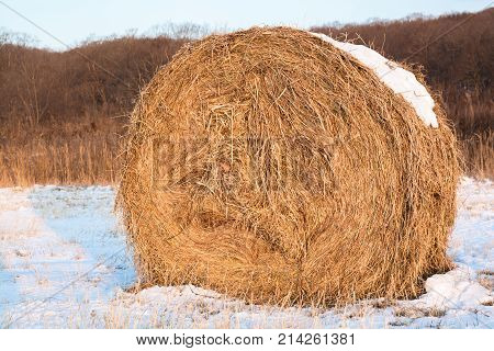 Haystack On Field Image & Photo (Free Trial) | Bigstock
