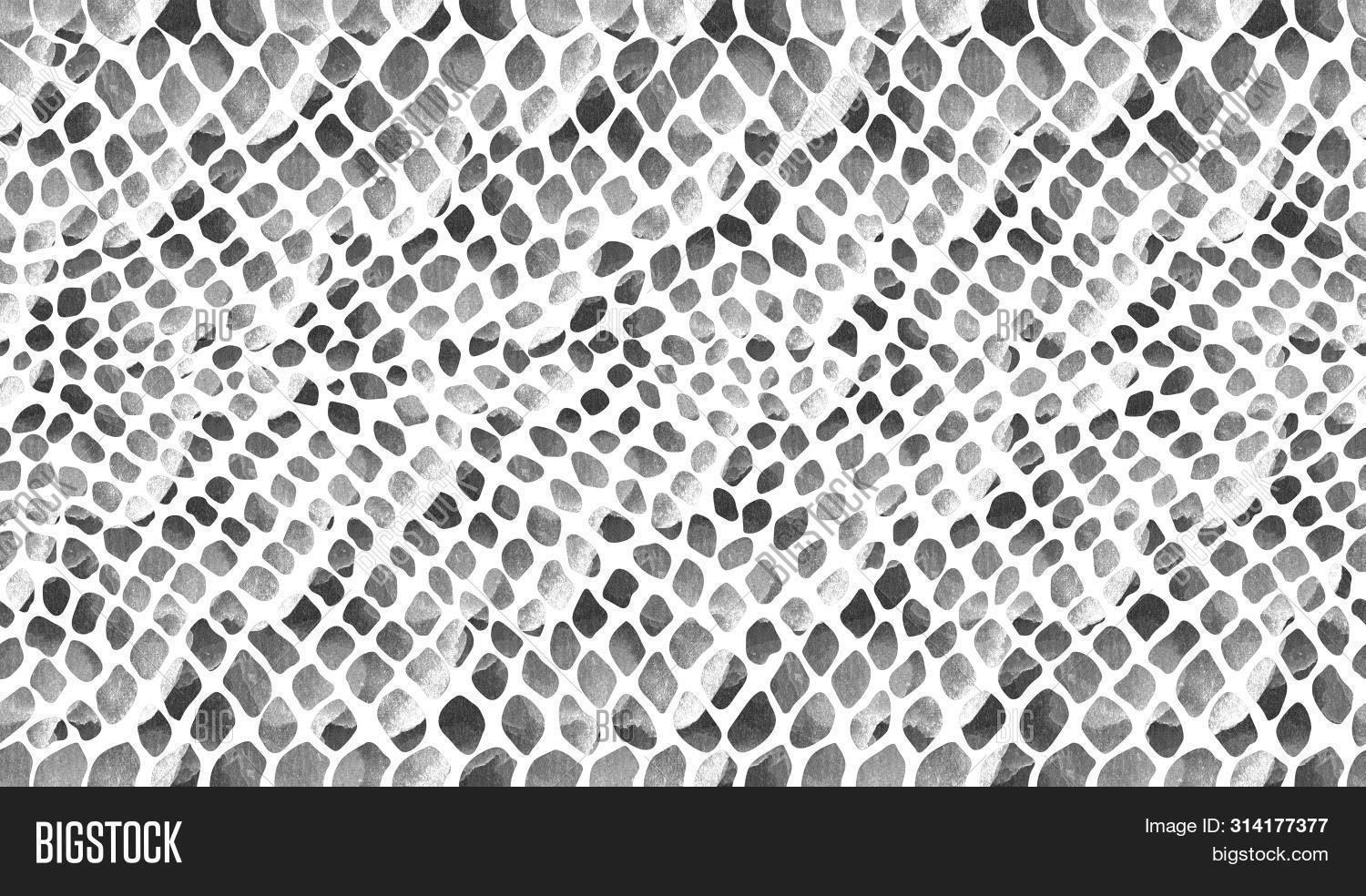 Seamless Texture Image & Photo (Free Trial) | Bigstock
