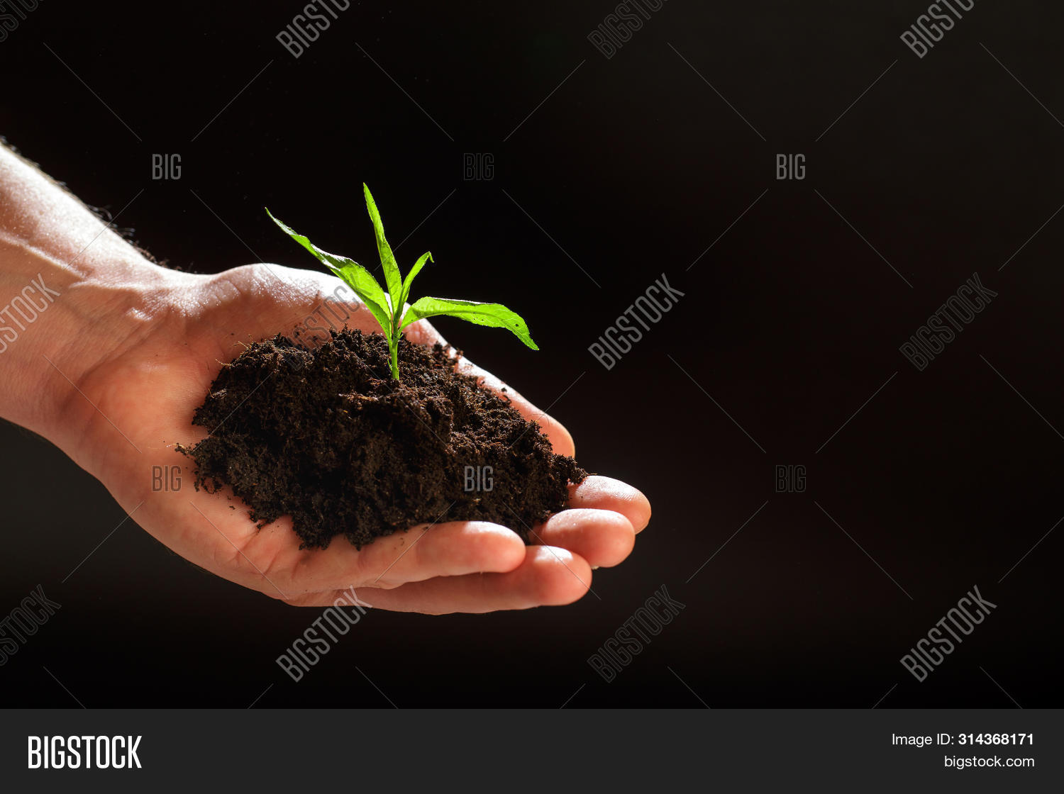 World Environment Day Image & Photo (Free Trial) | Bigstock
