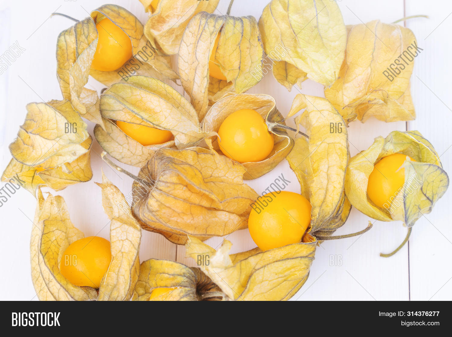 Imagen y foto Physalis Fruit ( (prueba gratis) | Bigstock