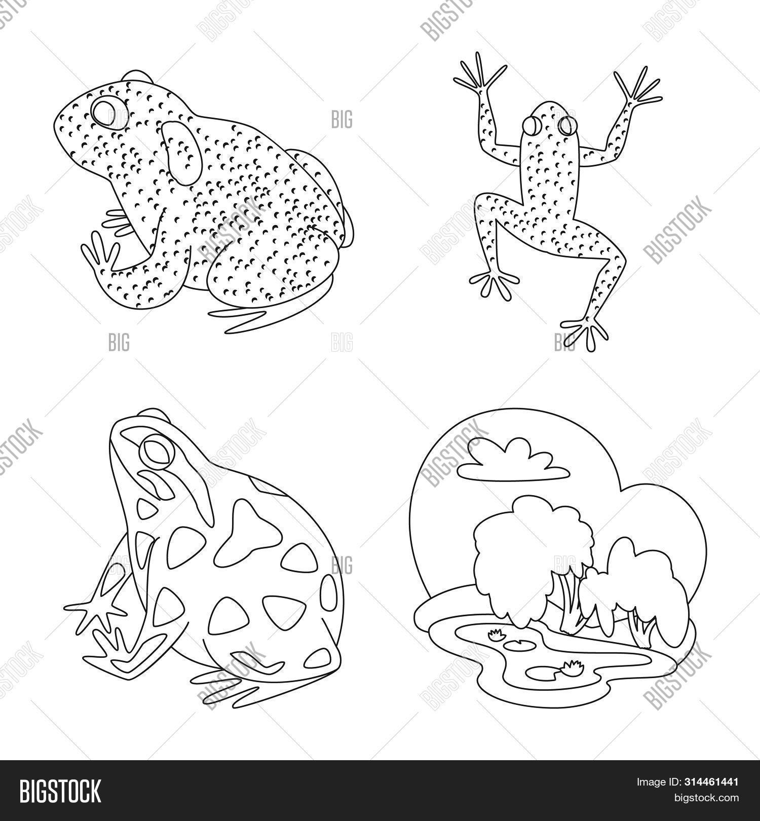 Bitmap Illustration Image & Photo (Free Trial) | Bigstock