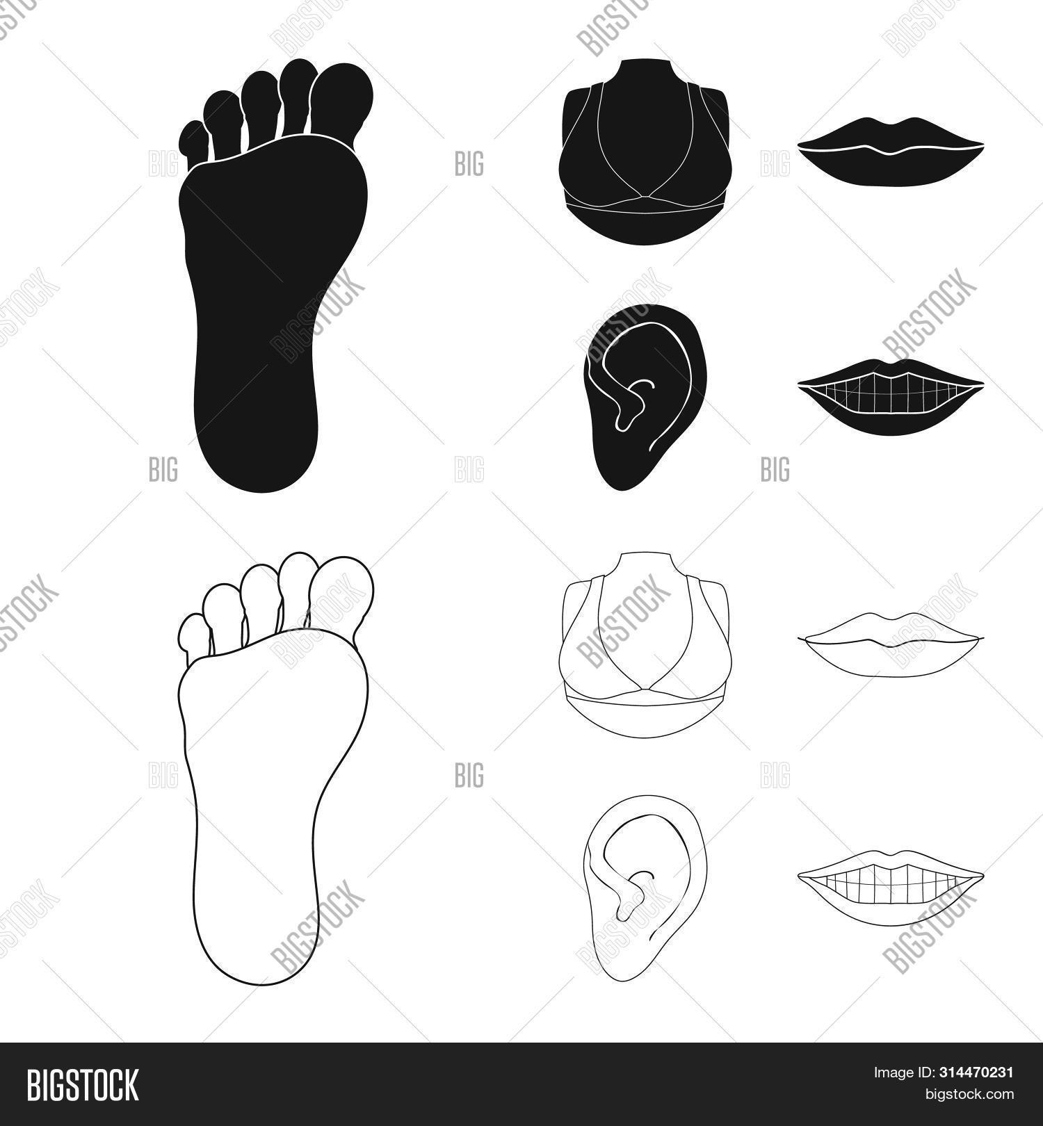 Bitmap Design Body Image & Photo (Free Trial) | Bigstock