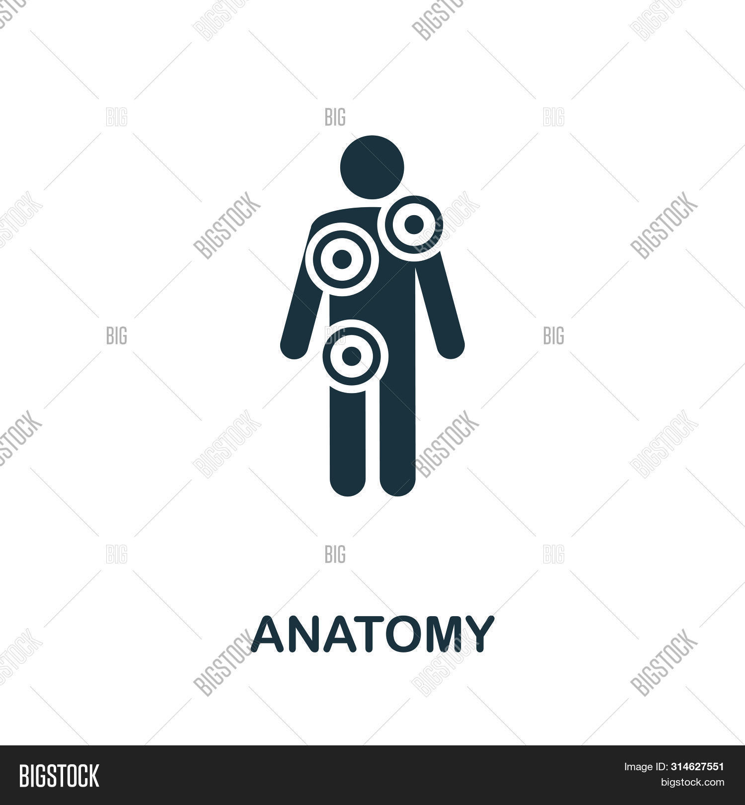 Anatomy Icon Symbol. Image & Photo (Free Trial) | Bigstock