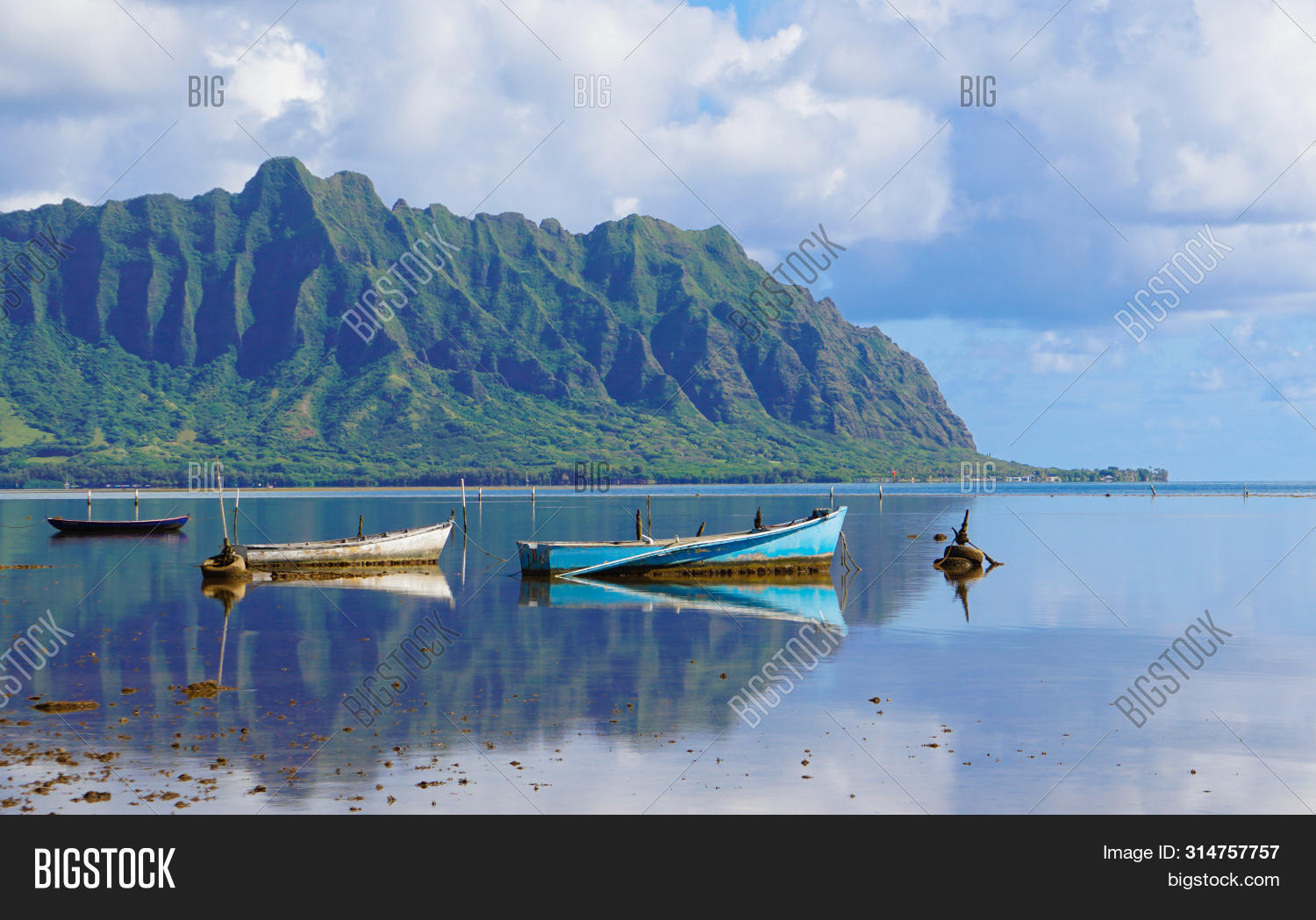 Perfectly Still Image & Photo (Free Trial) | Bigstock