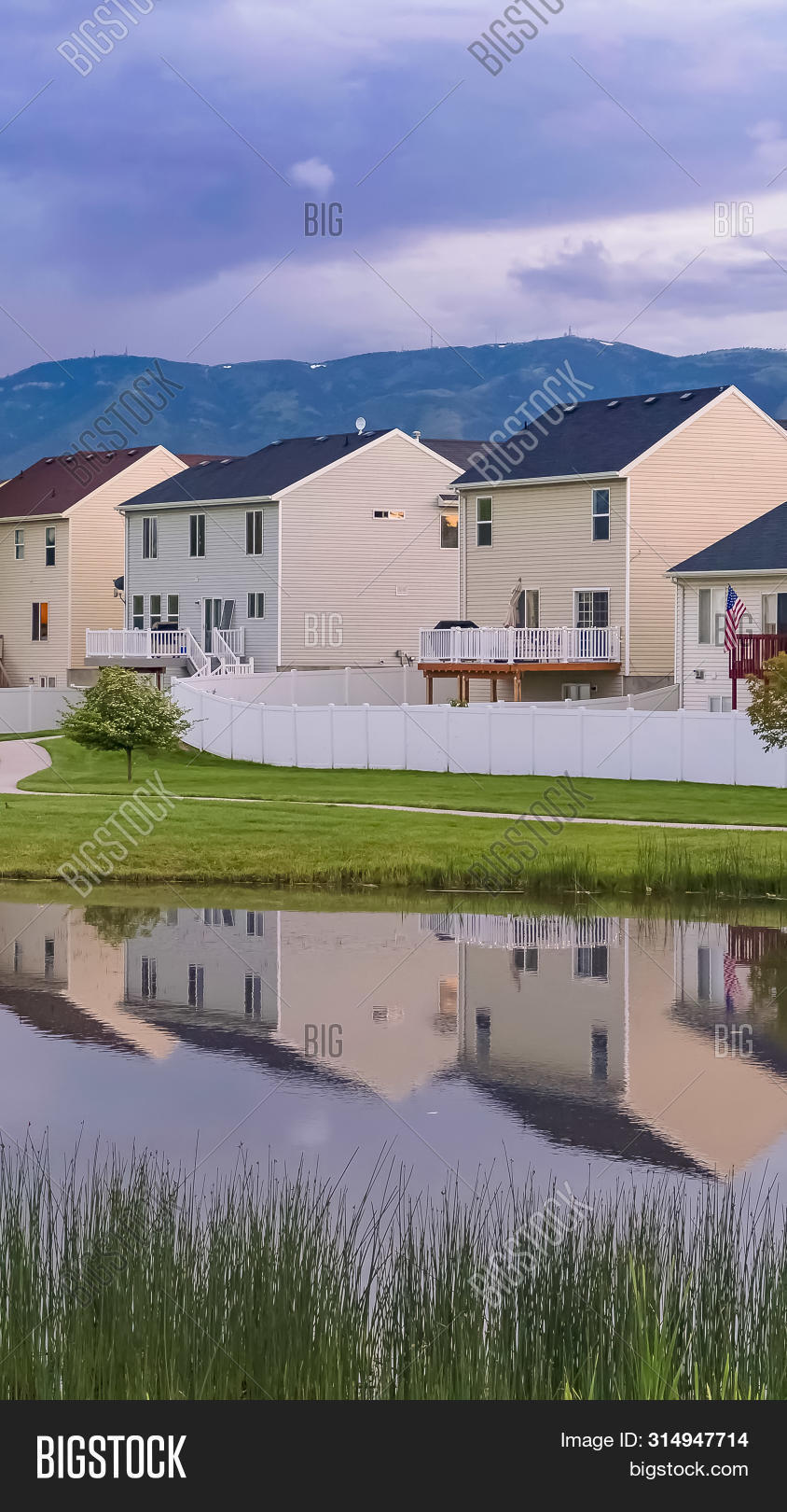 Vertical Shiny Pond Image & Photo (Free Trial) | Bigstock