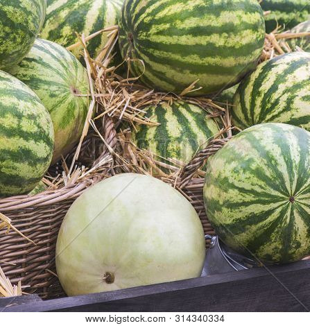 Cart Full Watermelons Image & Photo (Free Trial) | Bigstock