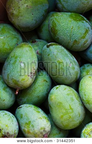 Green Mango Background Image & Photo (Free Trial) | Bigstock