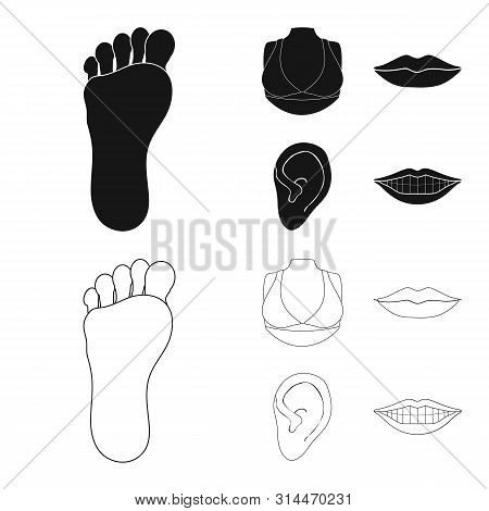 Bitmap Design Body Image & Photo (Free Trial) | Bigstock