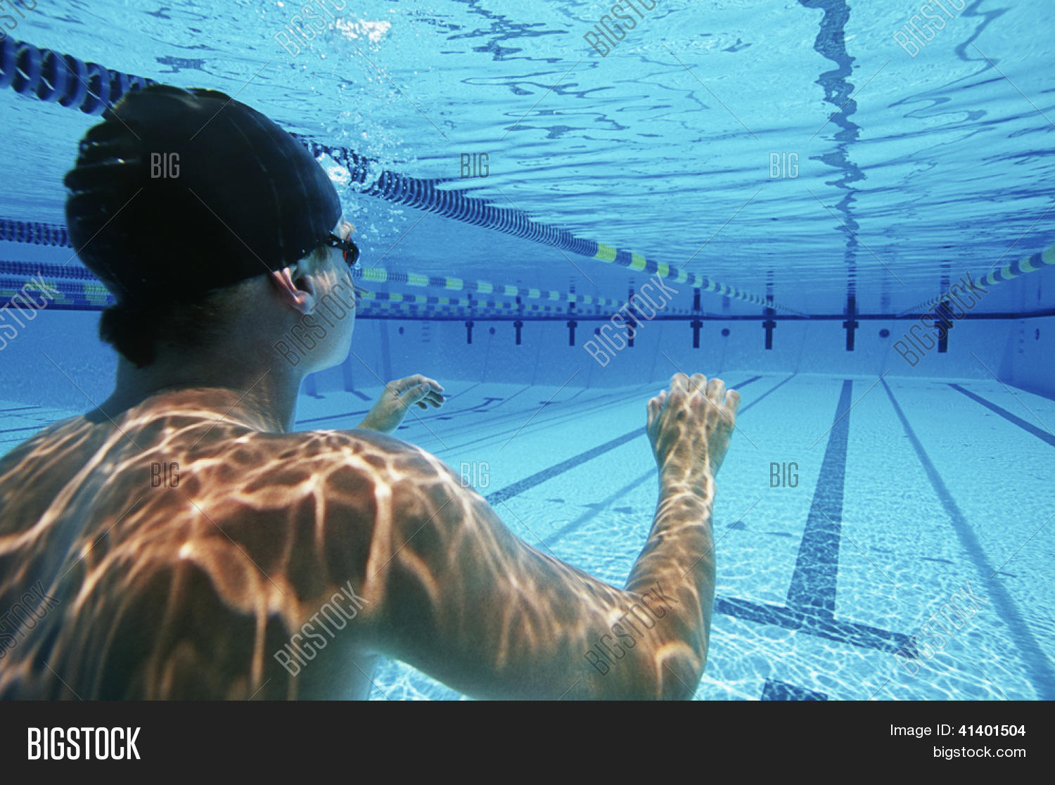 Rear View Male Swimmer Image & Photo (Free Trial) | Bigstock