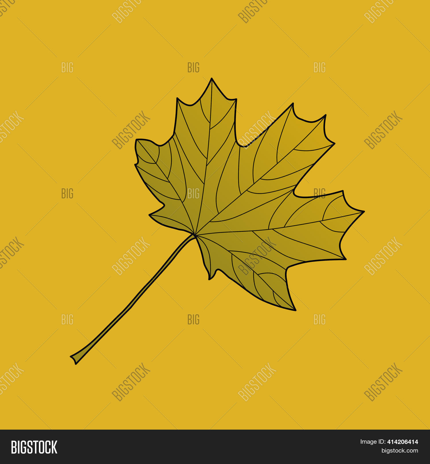 Plane Tree Leaf, Color Image & Photo (Free Trial) | Bigstock