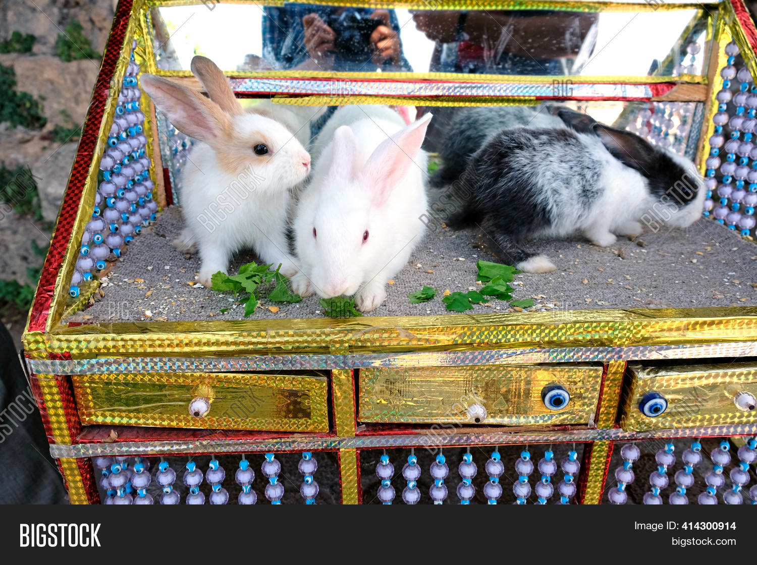 Three Rabbits On Table Image & Photo (Free Trial) | Bigstock