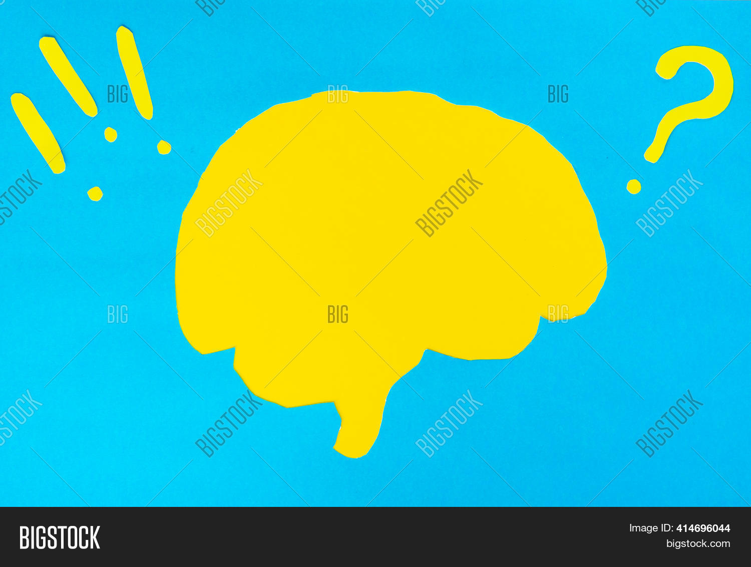 Brain Model Question Image & Photo (Free Trial) | Bigstock