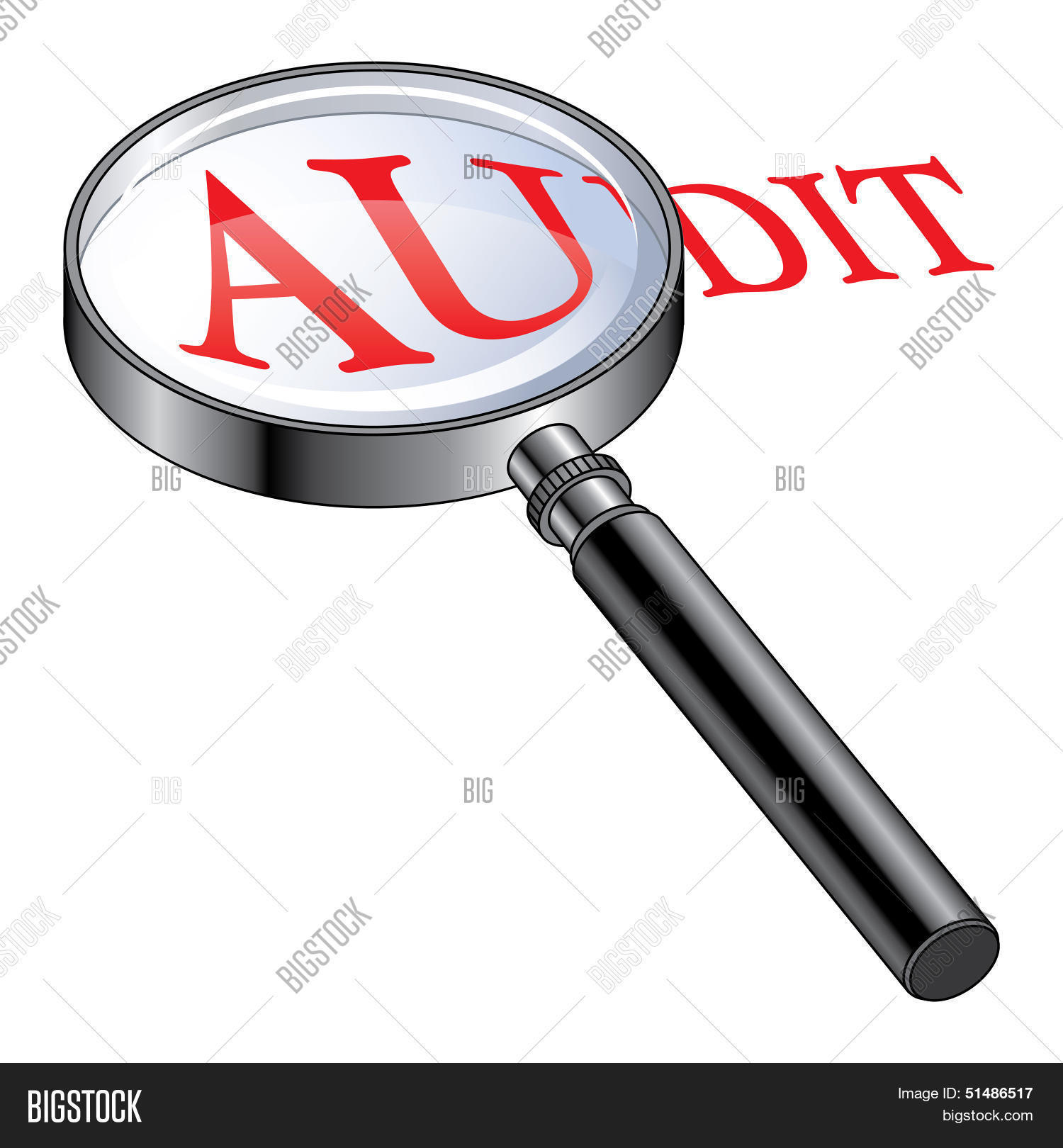 Audit Magnified Vector & Photo (Free Trial) | Bigstock