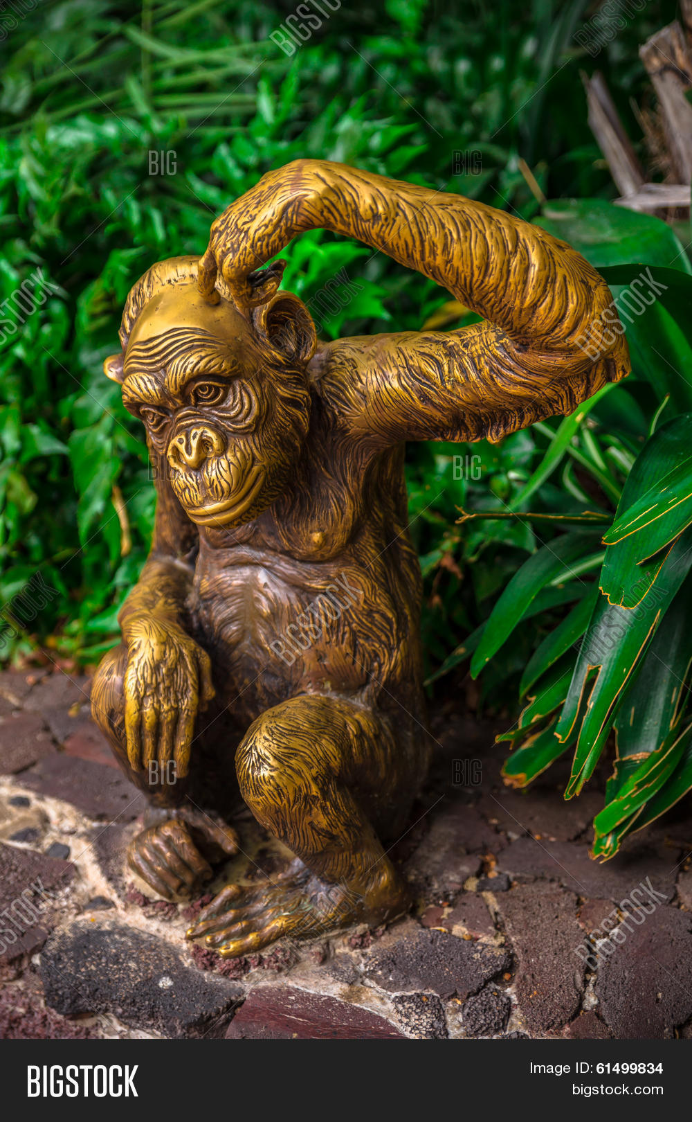 Golden Chimpanzee Image & Photo (Free Trial) | Bigstock