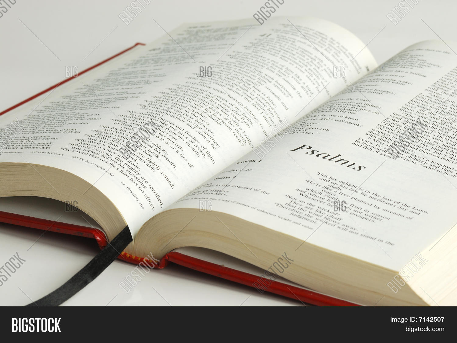 Opened Bible Focused Image & Photo (Free Trial) | Bigstock